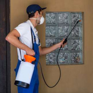 Pest Control Services | Denton, Argyle & Flower Mound, TX | Gold ...